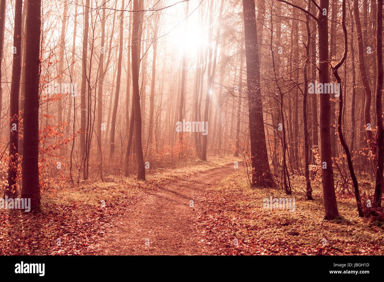 High resolution photo in best quality Stock Photo - Alamy