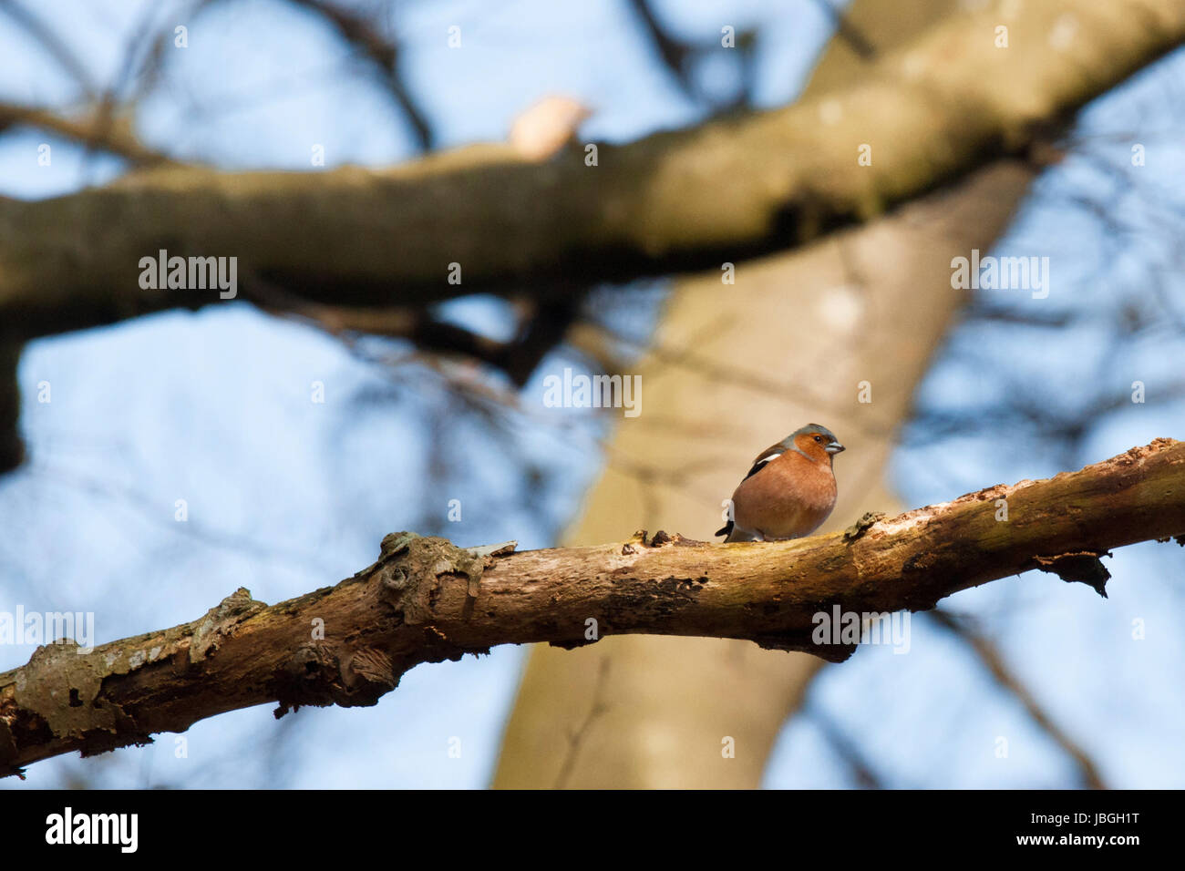 High resolution photo in best quality Stock Photo - Alamy