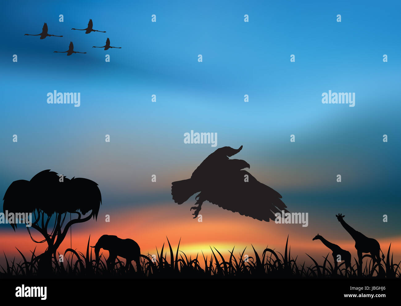 African wildlife at the sunset Stock Photo - Alamy