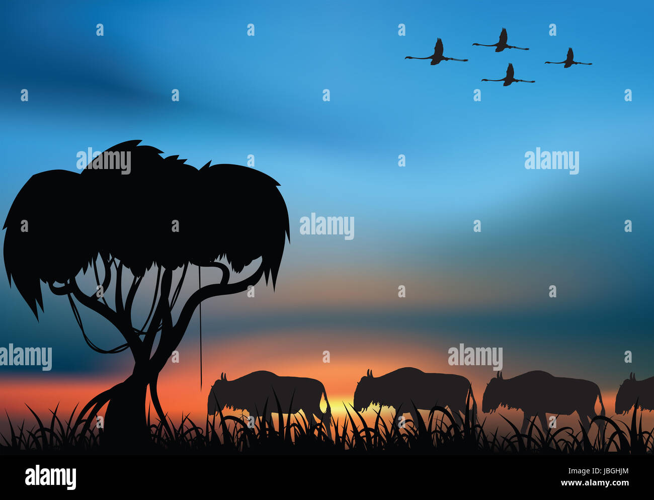 African savanna and wildbeast migration at the sunset Stock Photo - Alamy