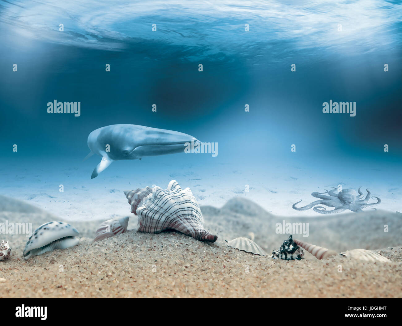 Underwater: octopus and whale in the blue shallow water Stock Photo - Alamy