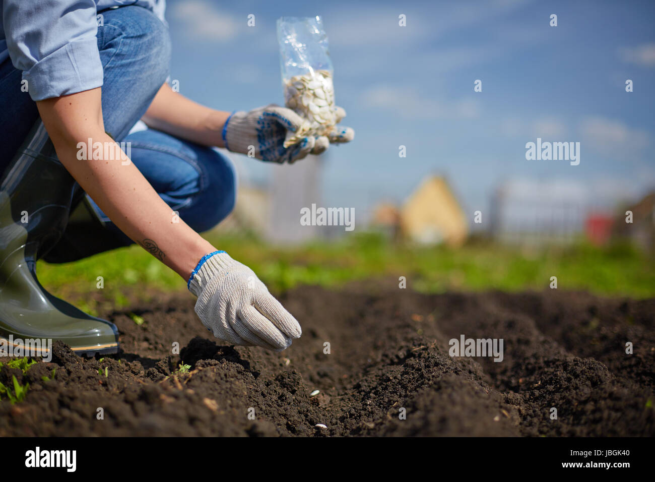 Image female farmer sowing seed hi-res stock photography and images - Alamy