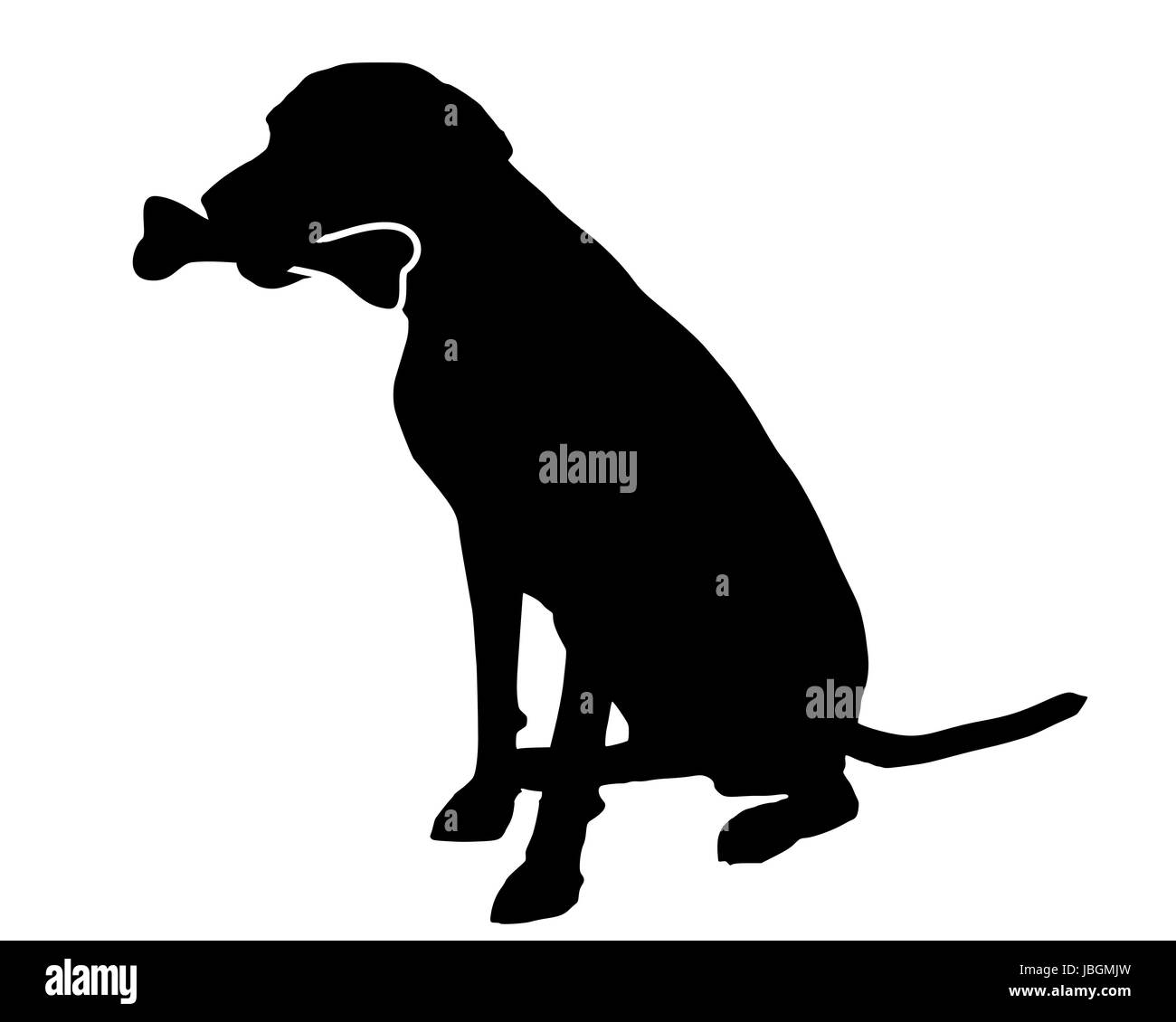 Hund mit Knochen Stock Photo - Alamy