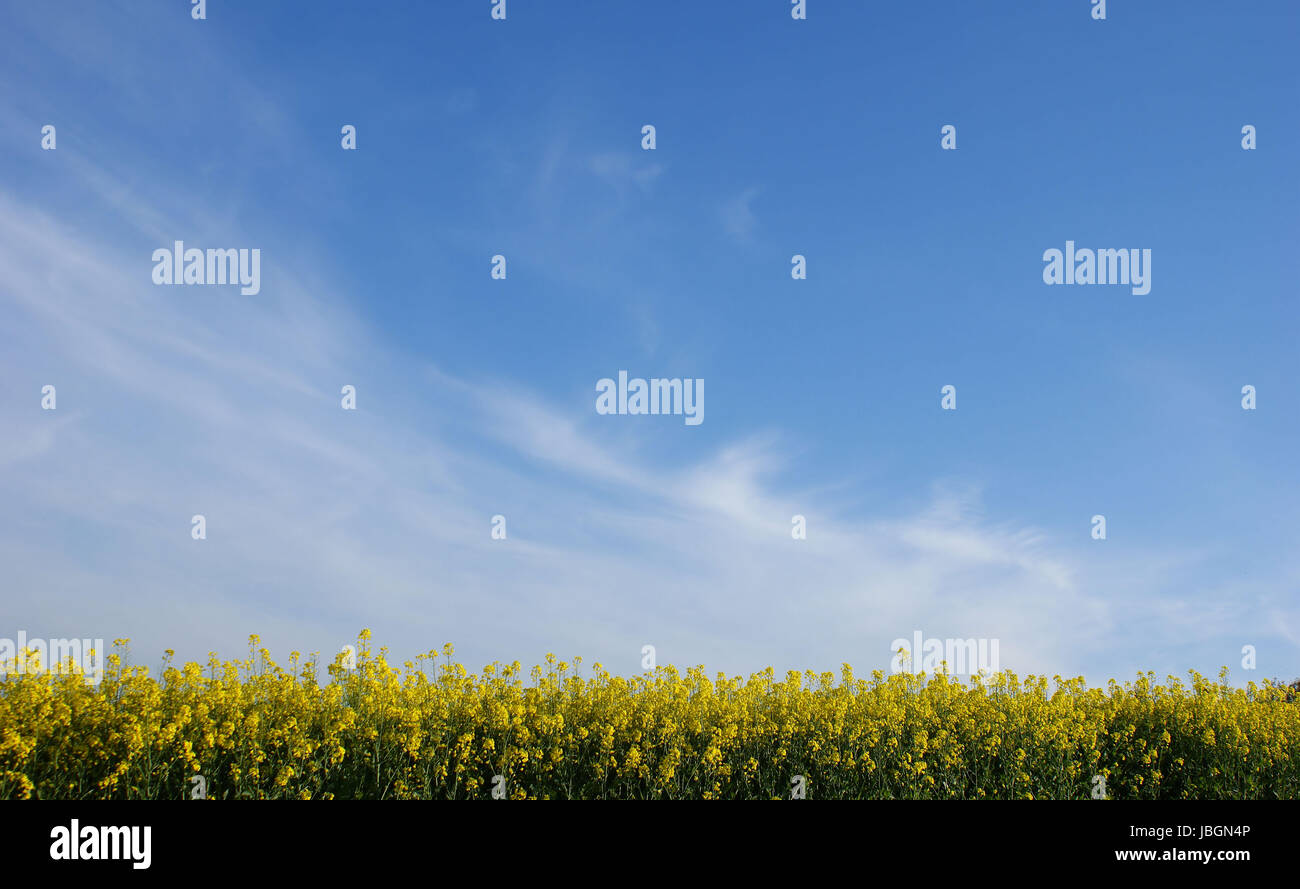 less is often more Stock Photo - Alamy