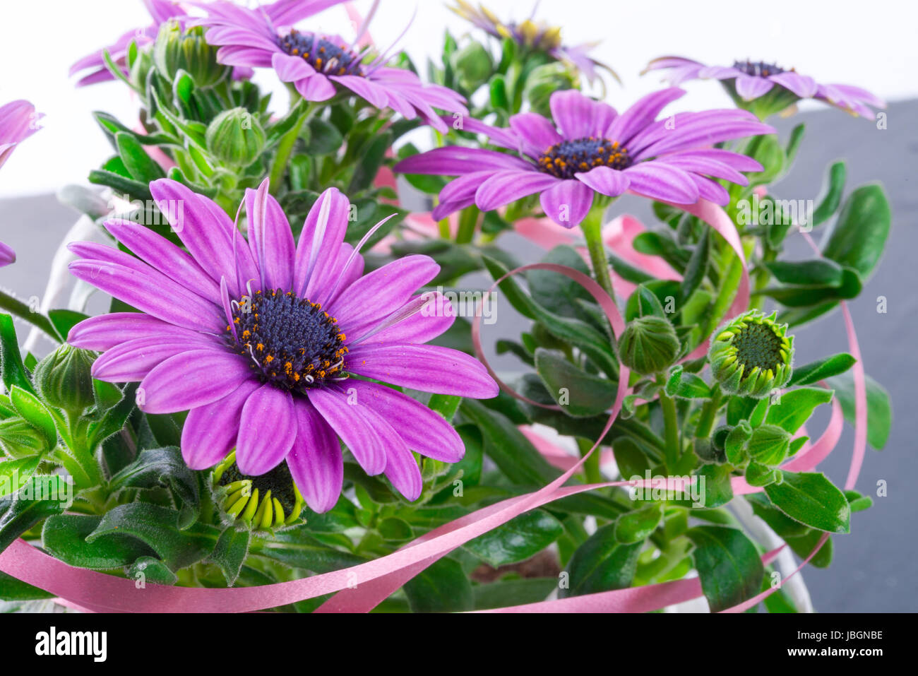 Halbe note hi-res stock photography and images - Alamy