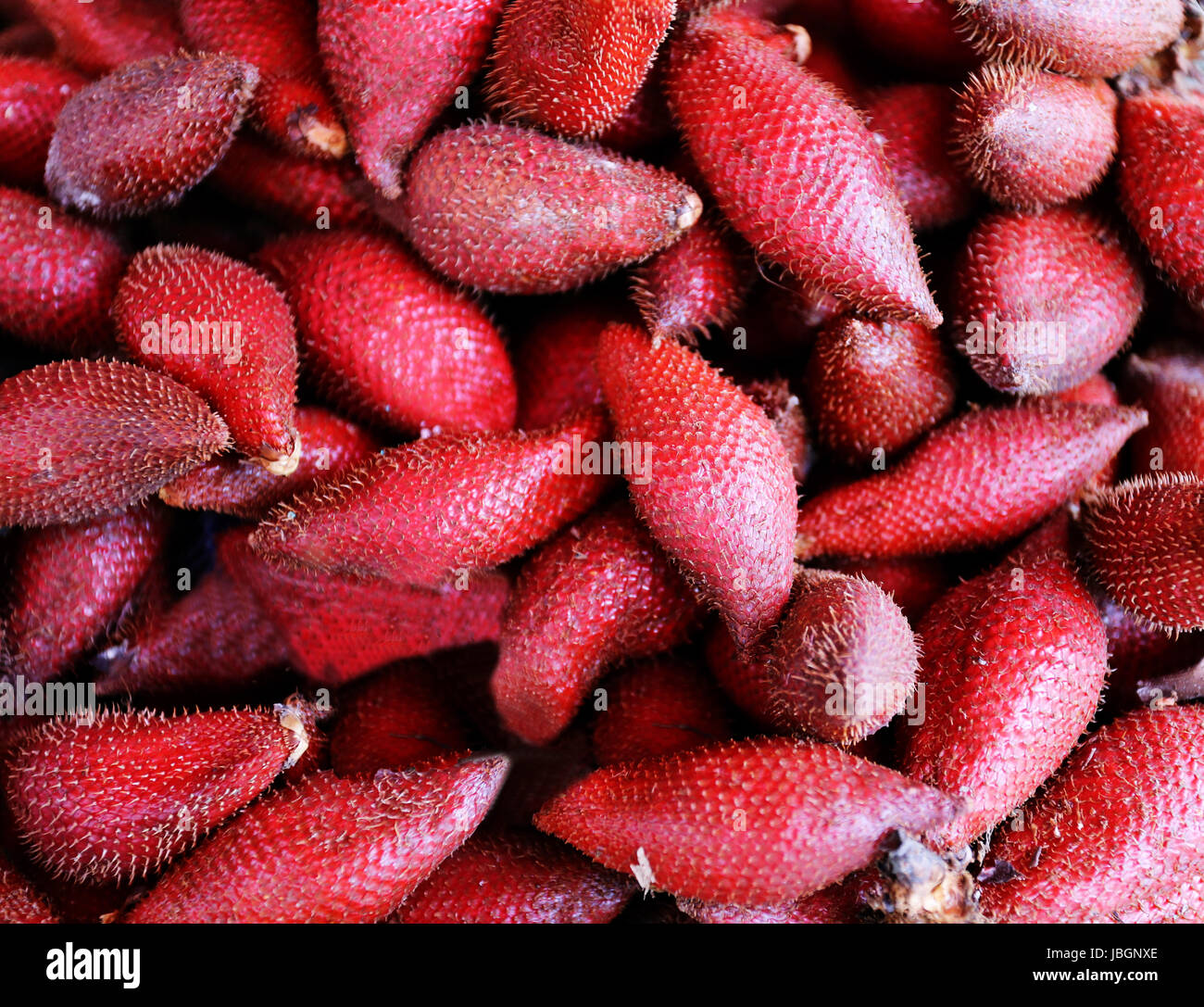 Snake flesh hi-res stock photography and images - Alamy