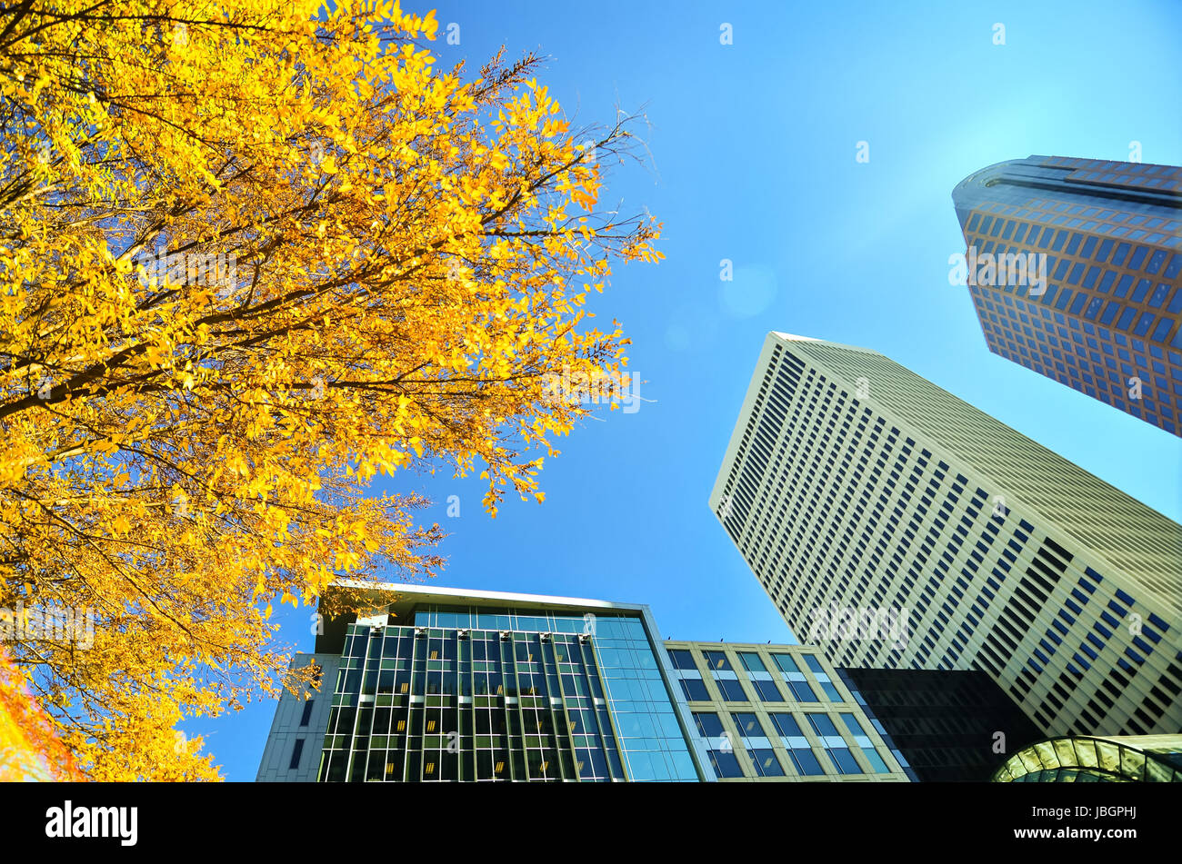 looking up at tall skyscrapers during fall season Stock Photo - Alamy