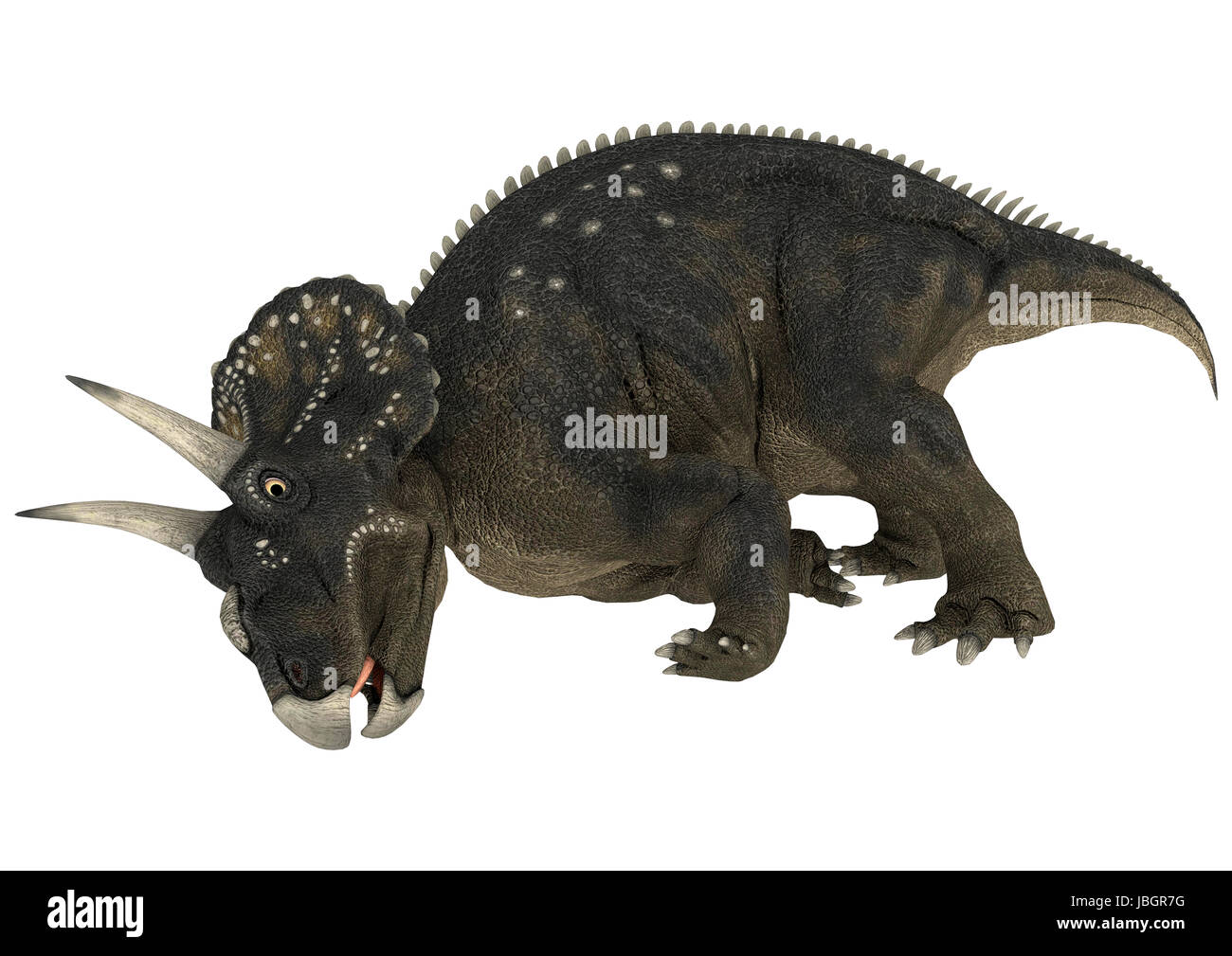 3D digital render of a dinosaur Diceratops isolated on white background ...