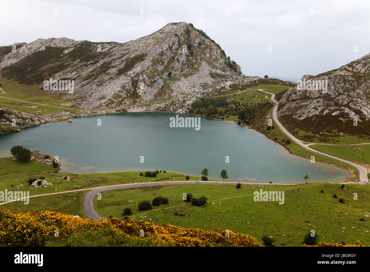 Fantastic lake Enol, one of the famous lakes of Covadonga, Asturias ...