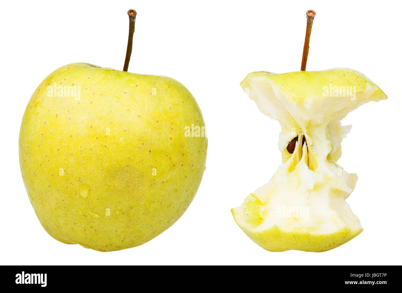 apple core and whole yellow golden delicious apple isolated on white ...