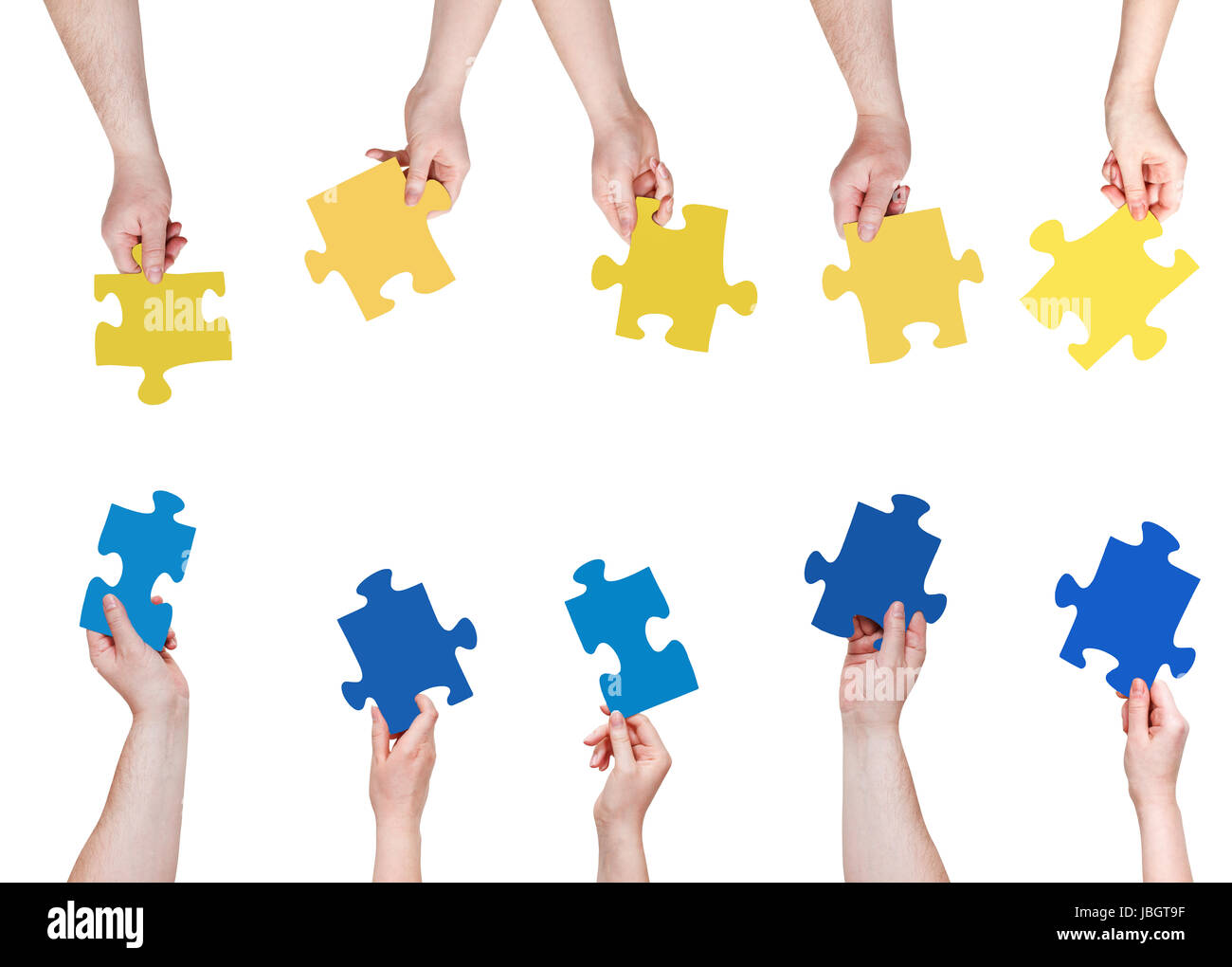 set of blue and yellow puzzle pieces in opposite sides in people hands ...