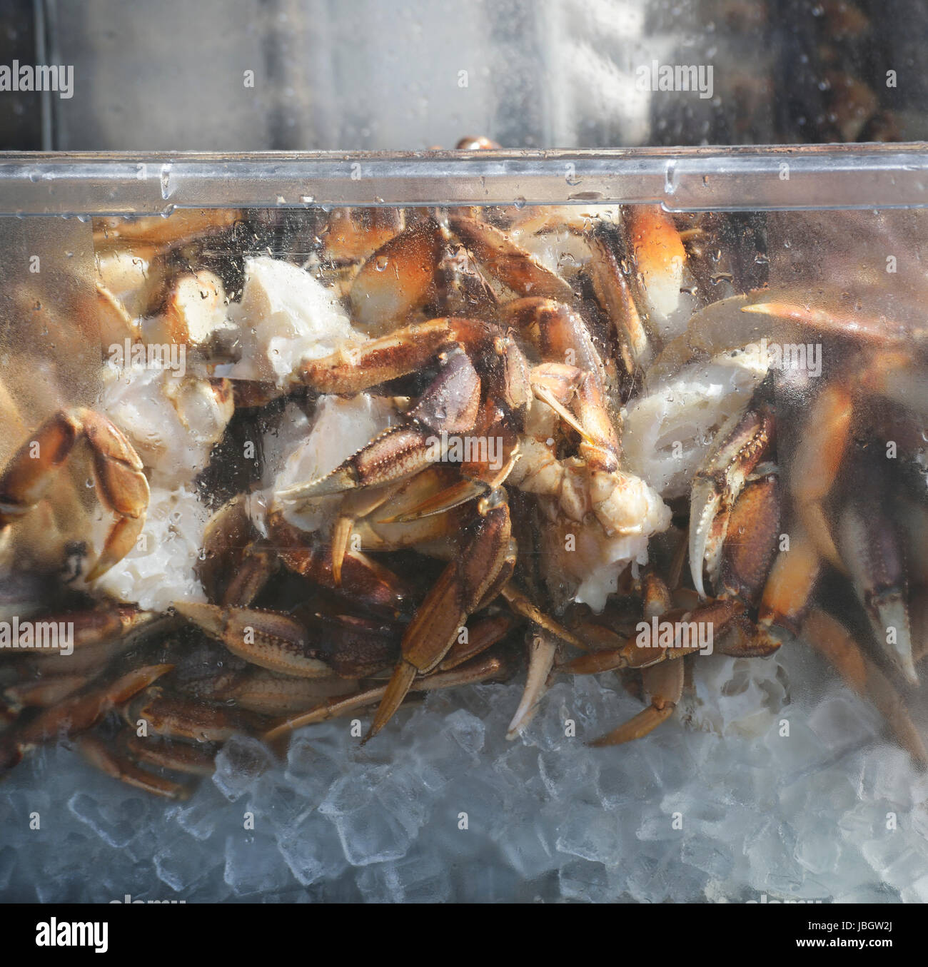 Crabs on container seafood hi-res stock photography and images - Alamy