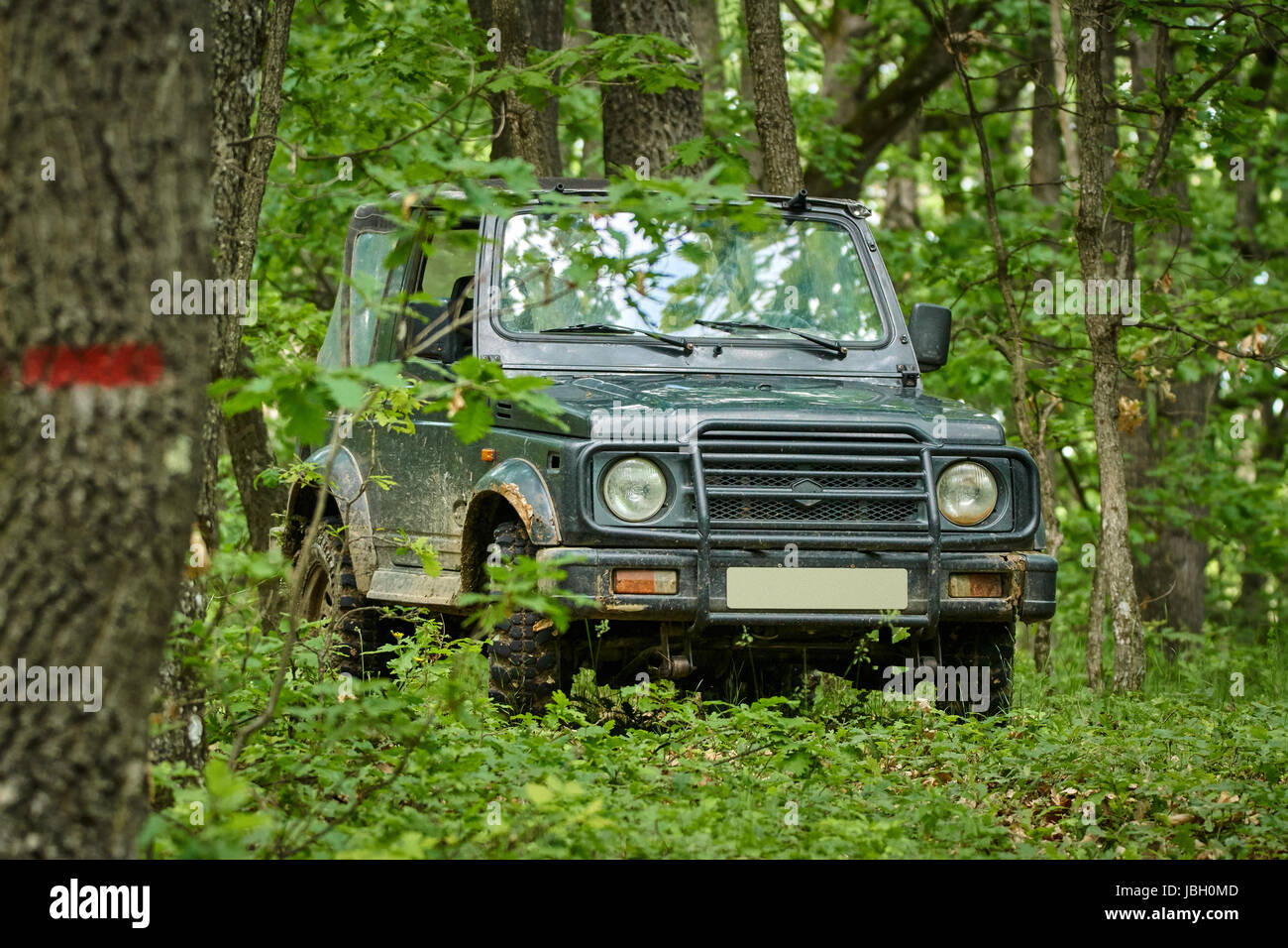 Small 4x4 offroad car in the forest Stock Photo - Alamy