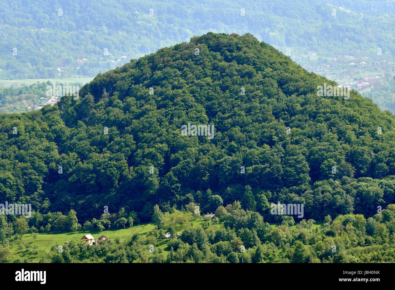 Top of a mountain covered in deciduous forest Stock Photo - Alamy