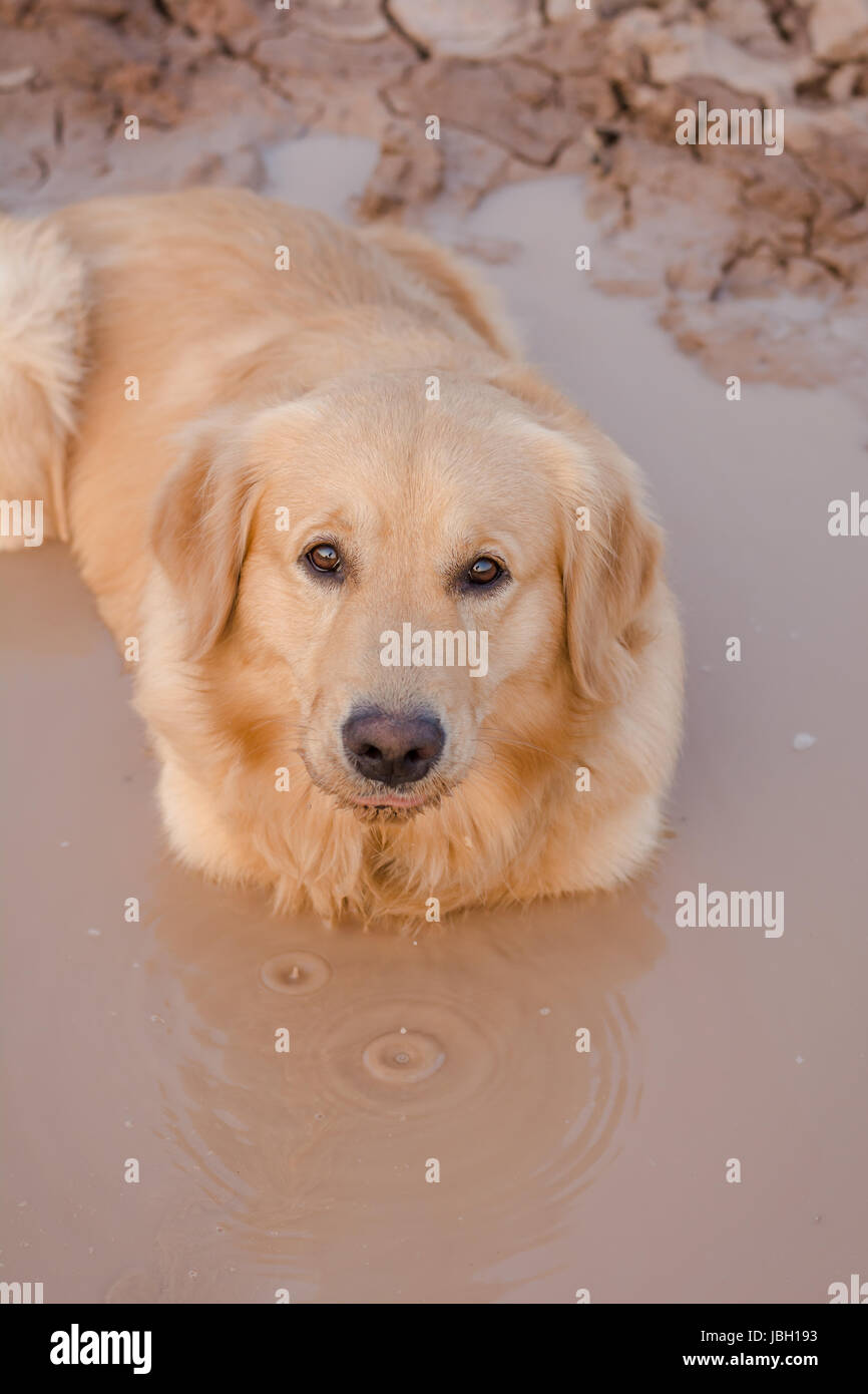 Playing in the mud hi-res stock photography and images - Alamy