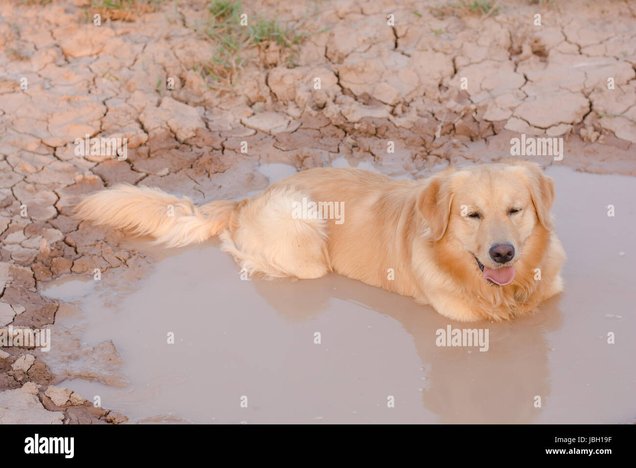 Playing in the mud hi-res stock photography and images - Alamy