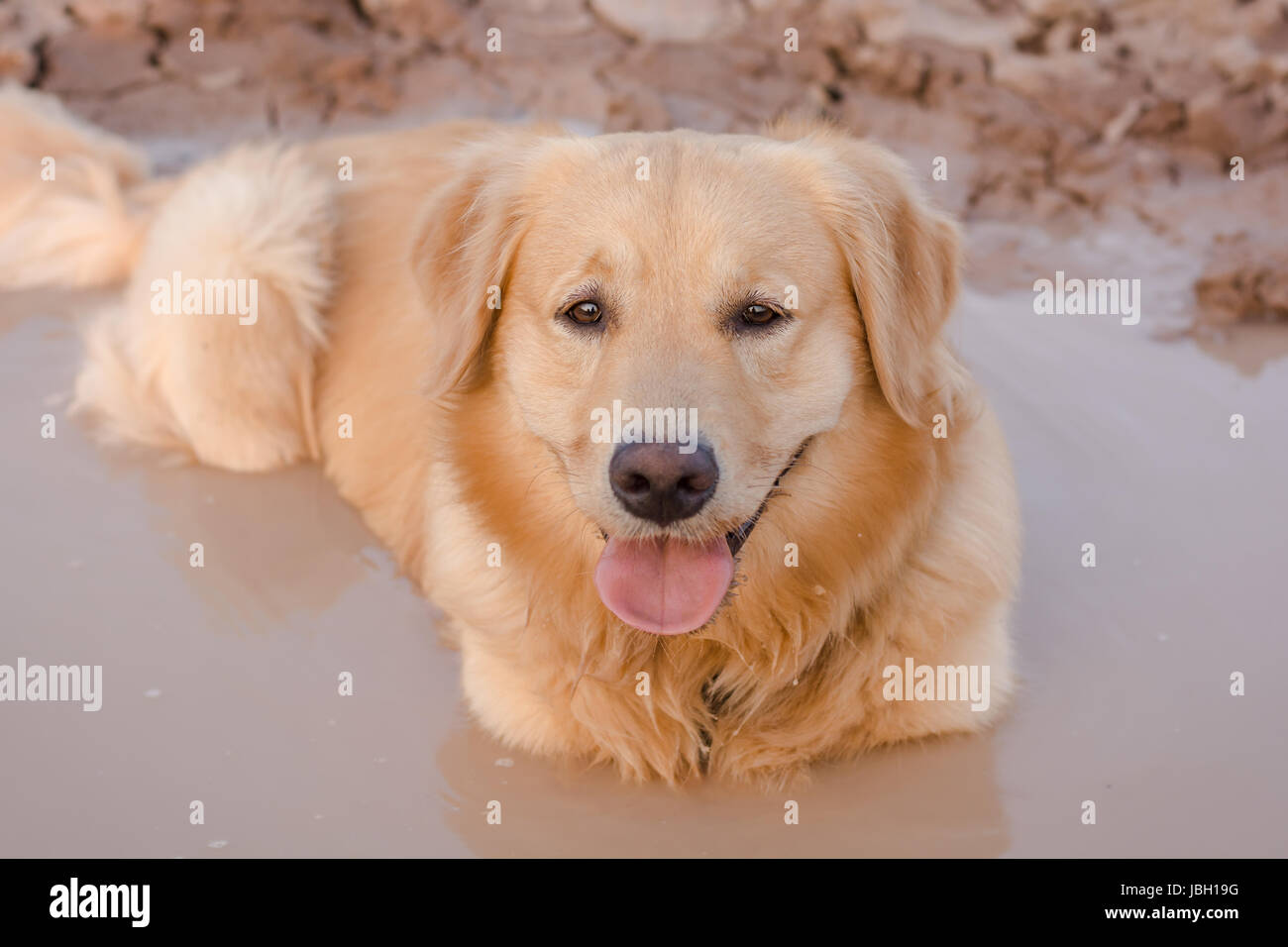 Playing in the mud hi-res stock photography and images - Alamy