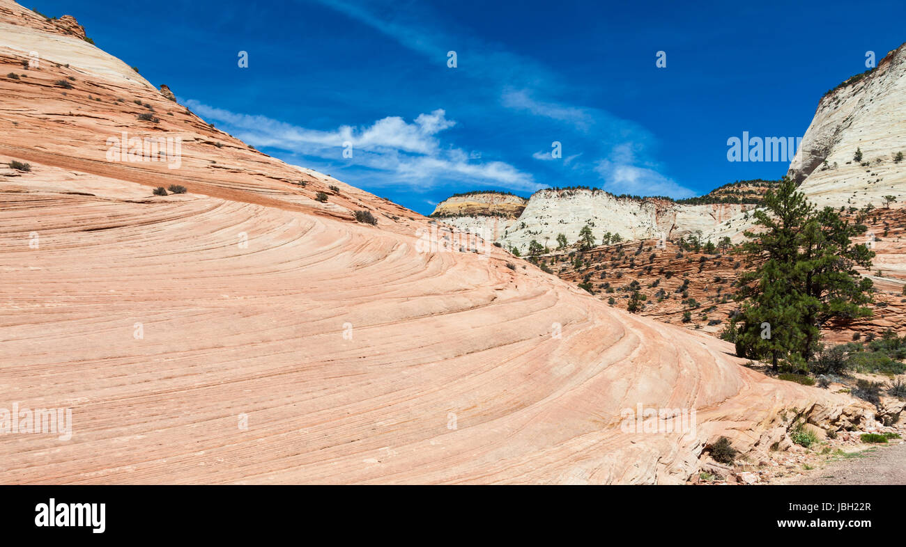 Pinky rocky waves in Zion National Park, USA Stock Photo - Alamy
