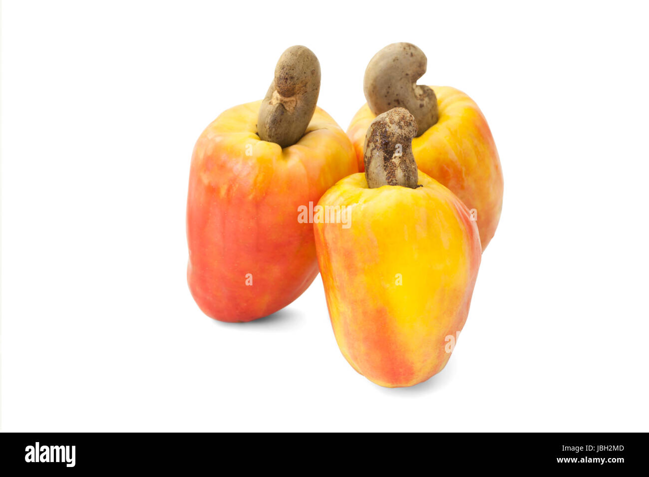 Fresh ripe Brazilian Caju Cashew fruit with path Stock Photo - Alamy