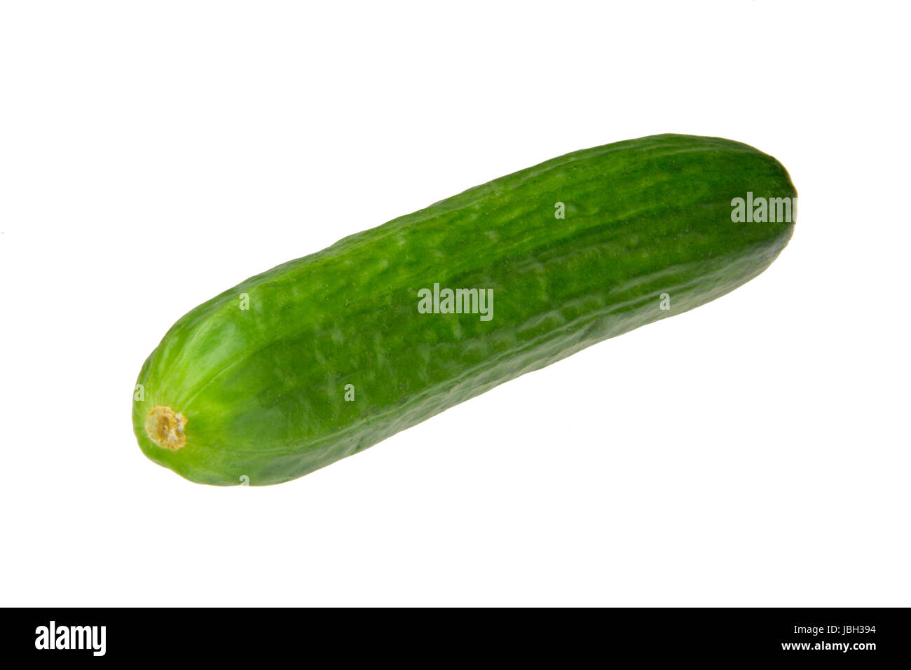 close up of small cucumber isolated on the white background Stock Photo ...