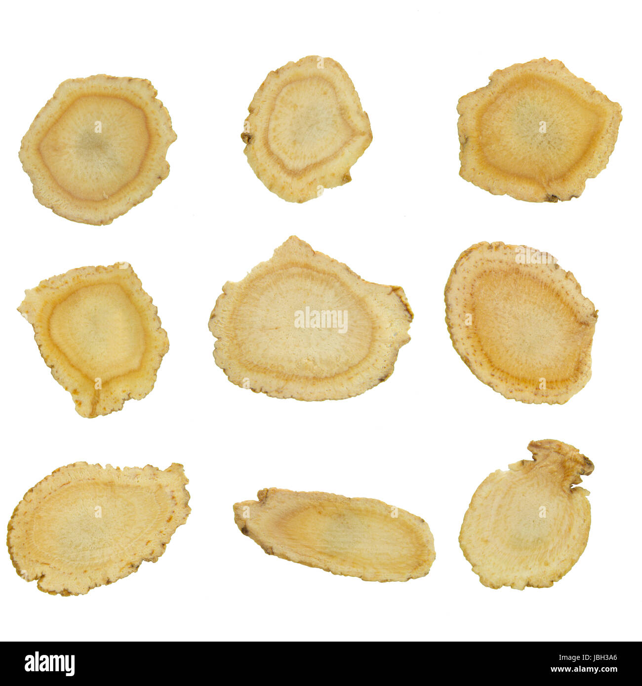 collection of many sliced American ginseng isolated on the white ...