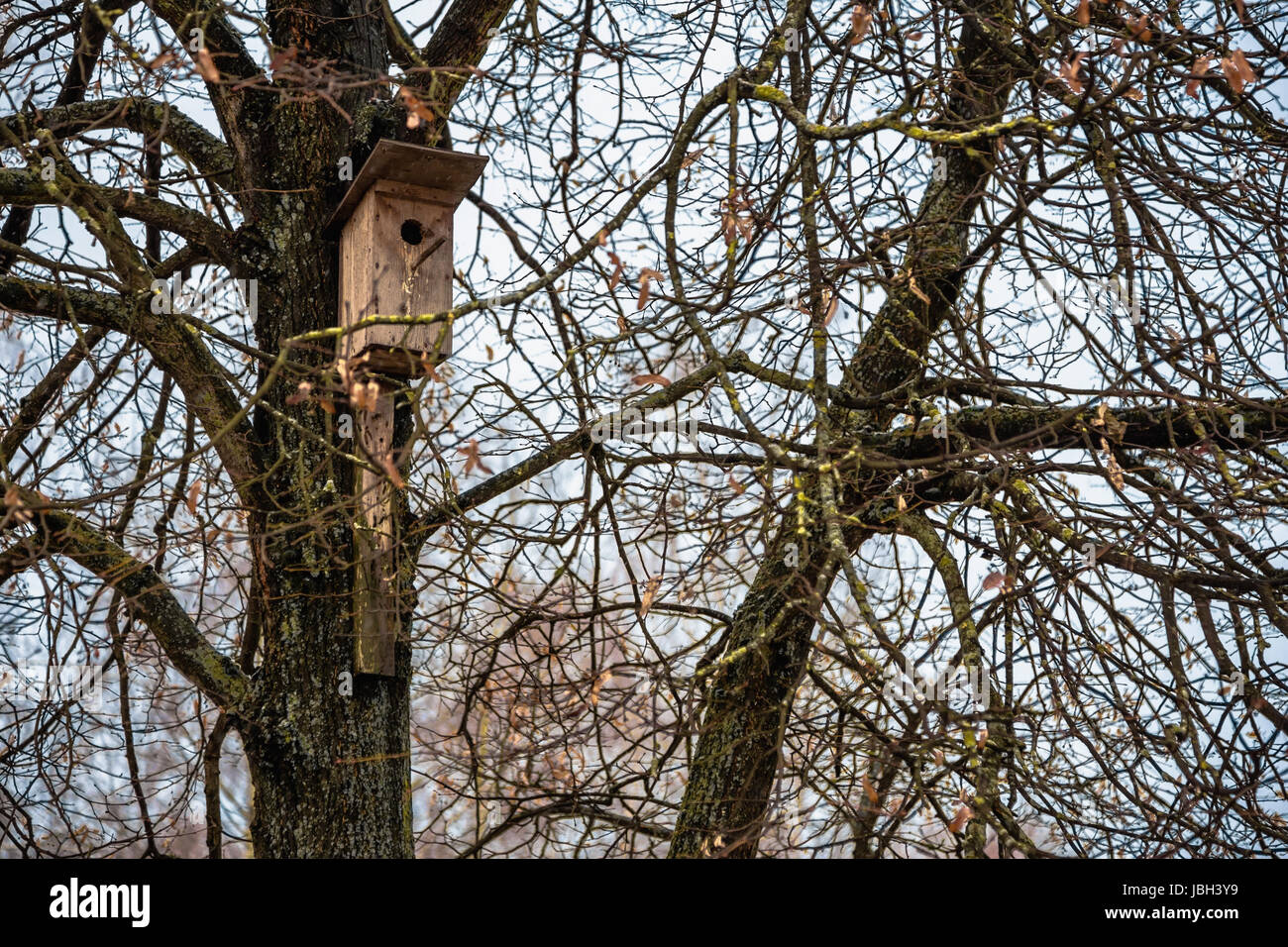 Starling house hi-res stock photography and images - Alamy