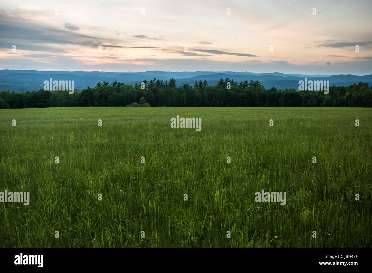 Sunset over meadow hi-res stock photography and images - Alamy