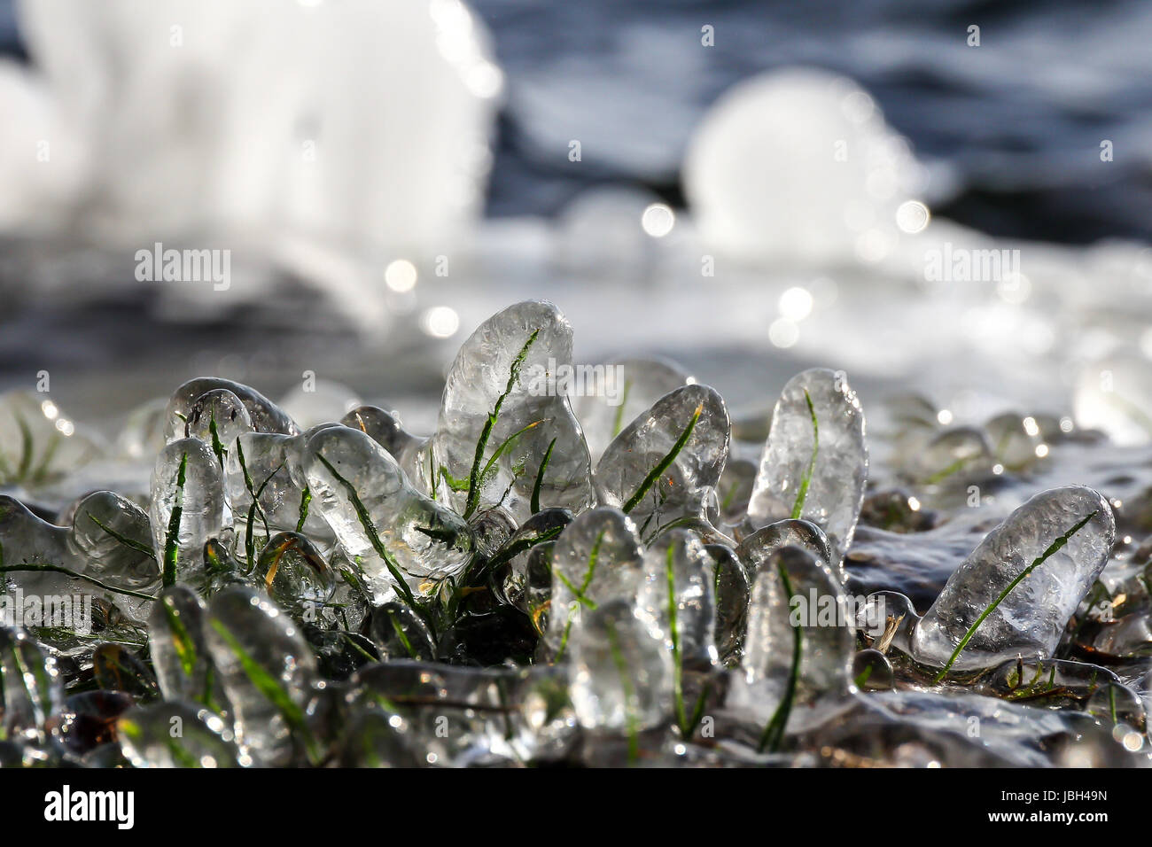 icing-grass - 02 Stock Photo - Alamy