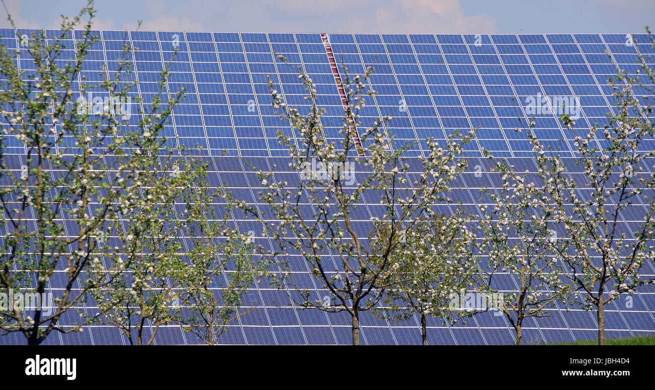 trees generation of electricity Stock Photo - Alamy