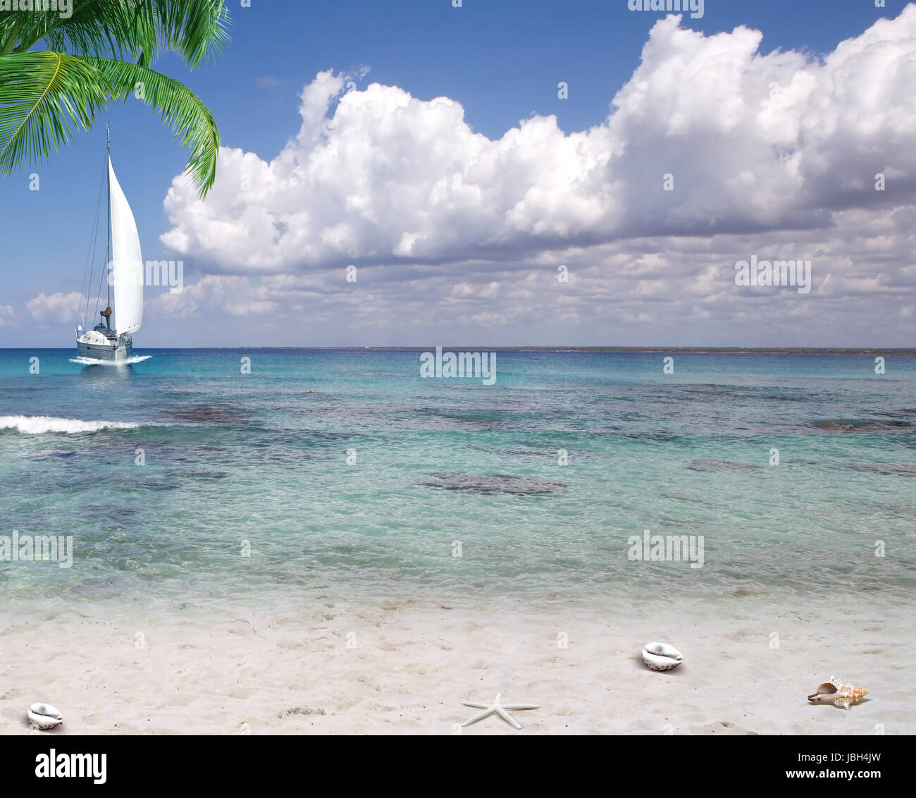Tropical beach with shells and sailing boat with sky and clouds in the ...