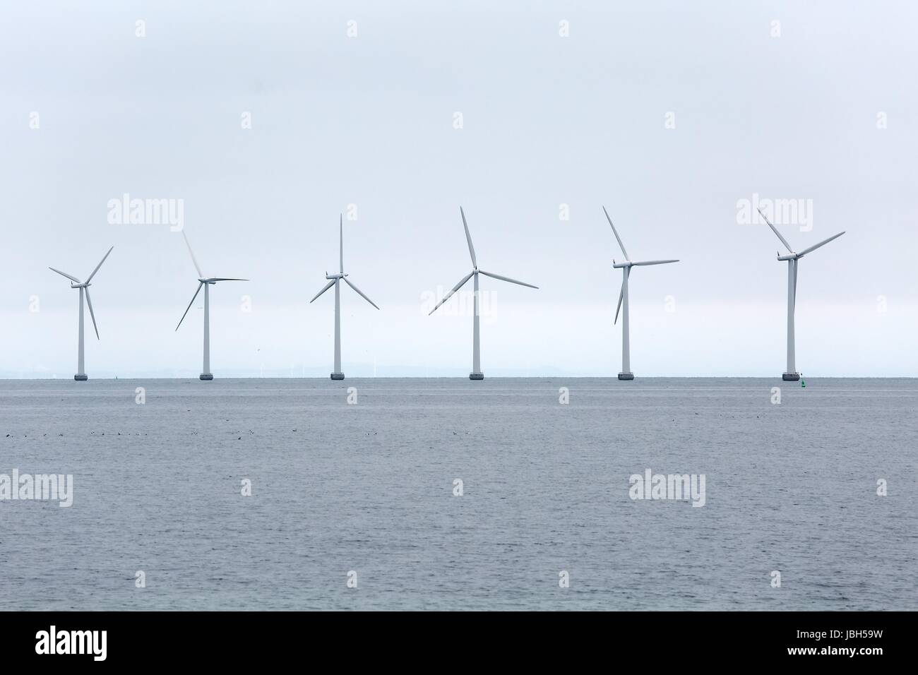 Offshore wind turbines at the sea in Copenhagen, Denmark Stock Photo ...