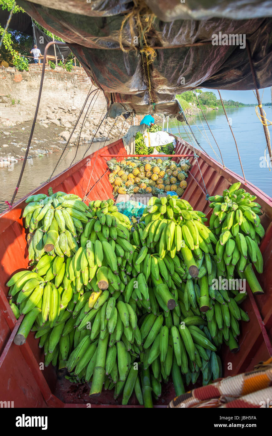 Plantains and pineapples on a boat near Mompox, Colombia Stock Photo ...