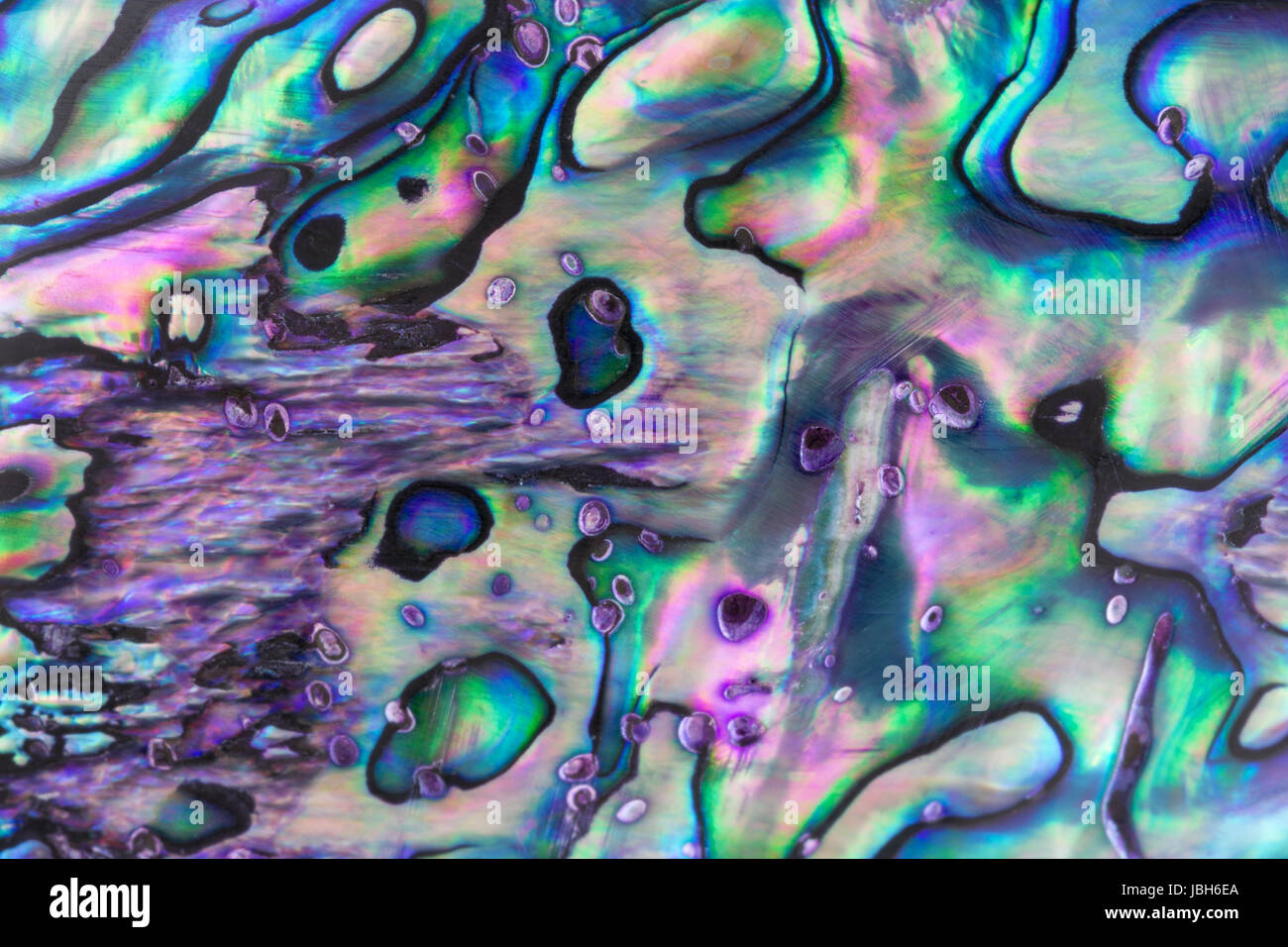 Close up Background of blue, green and purple abalone pearl shell Stock ...