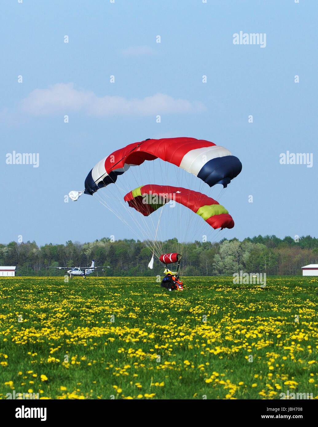 Parachutist tree hi-res stock photography and images - Alamy