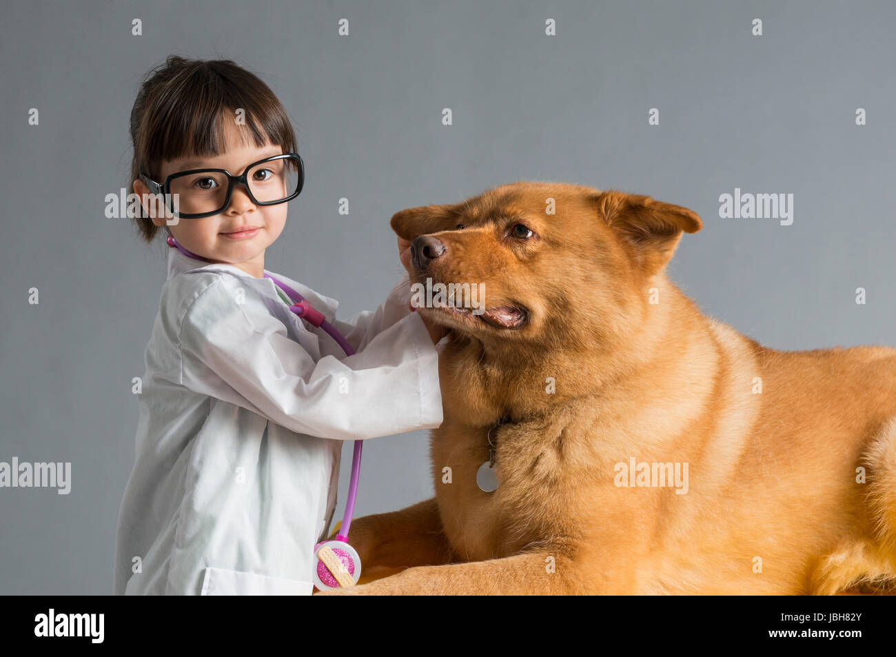 Child playing veterinarian with dog Stock Photo - Alamy