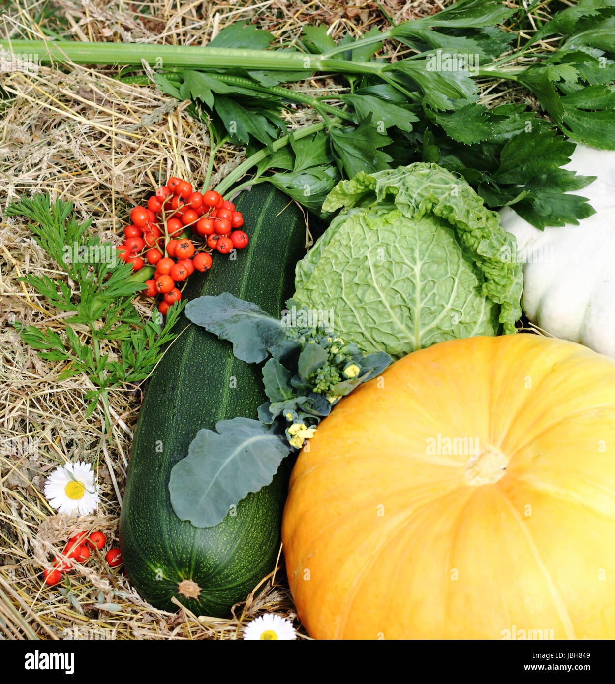 Healthy autumn vegetables Stock Photo - Alamy