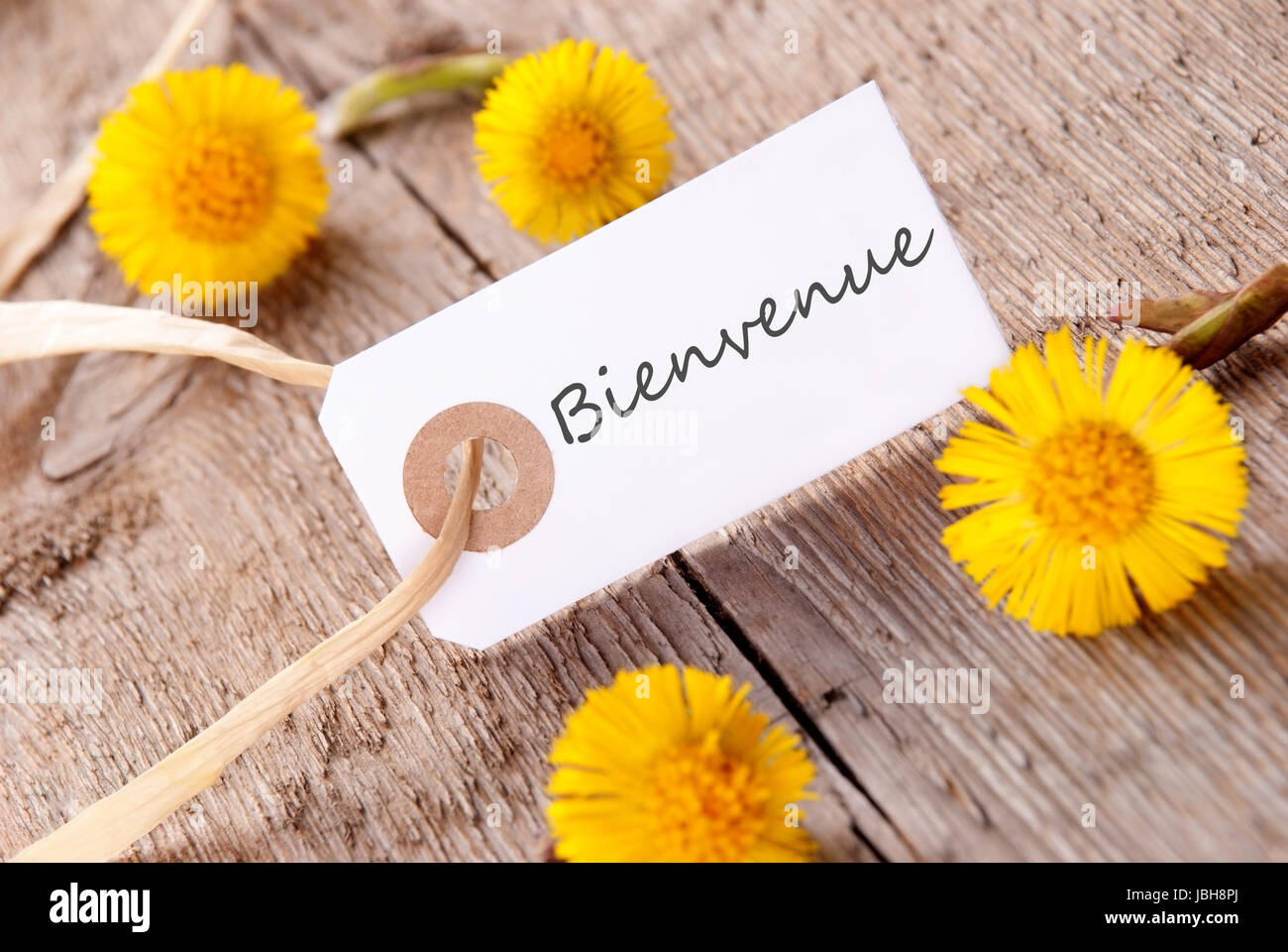White Banner with the French Word Bienvenue which means Welcome Stock ...