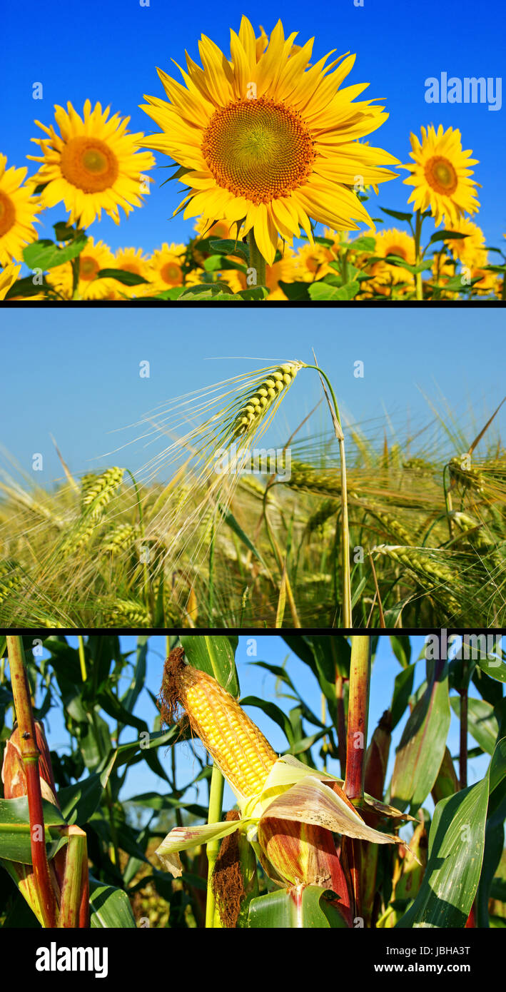 renewable resources - Our Future Stock Photo - Alamy