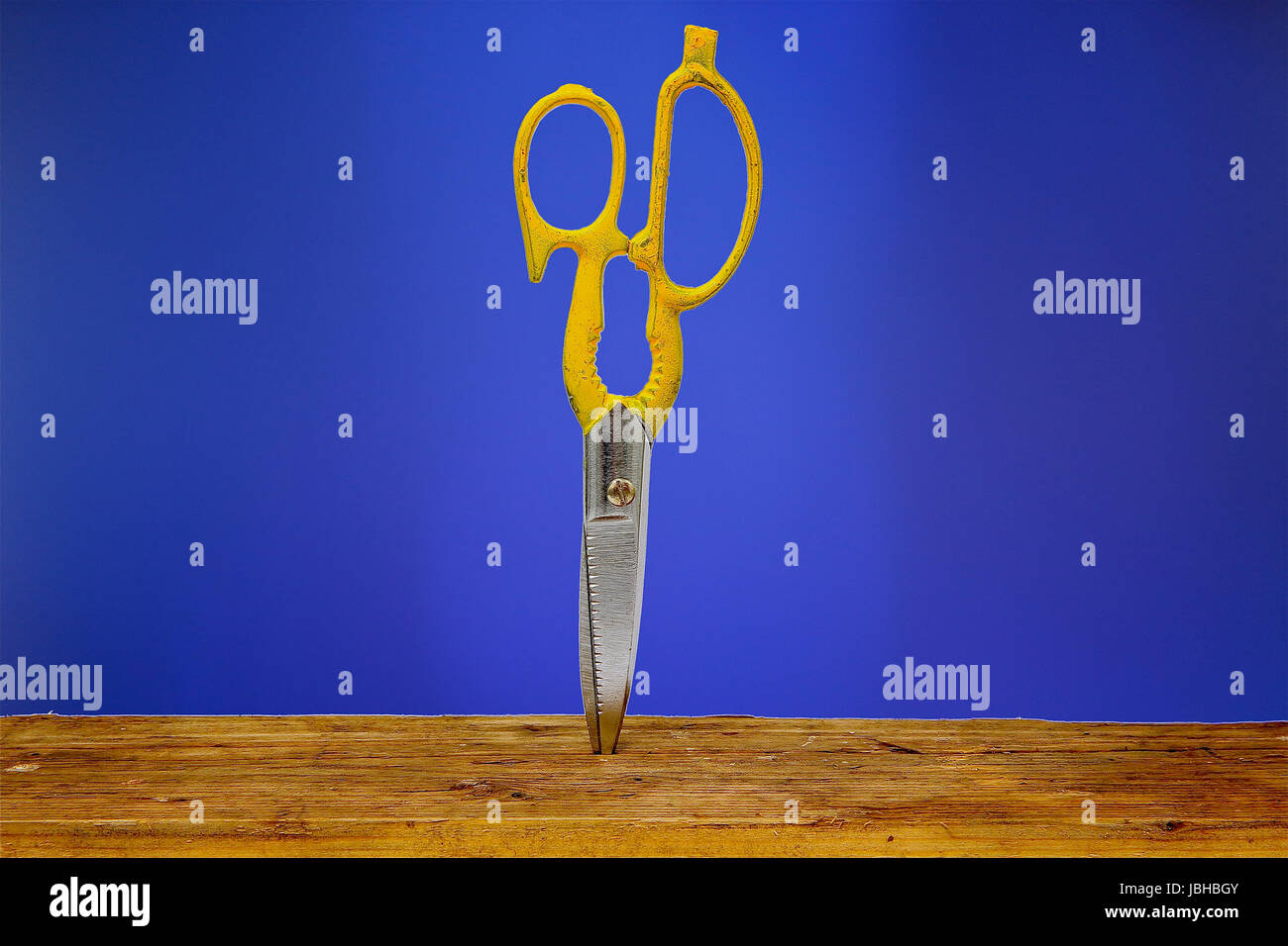 Separate shelf hi-res stock photography and images - Alamy