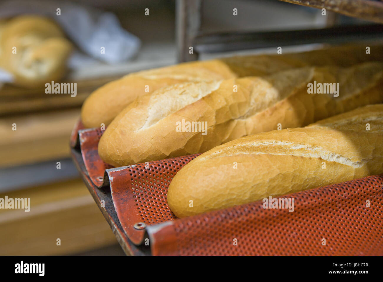 Baguette rows of bread loaves in racks in a bakery Stock Photo - Alamy