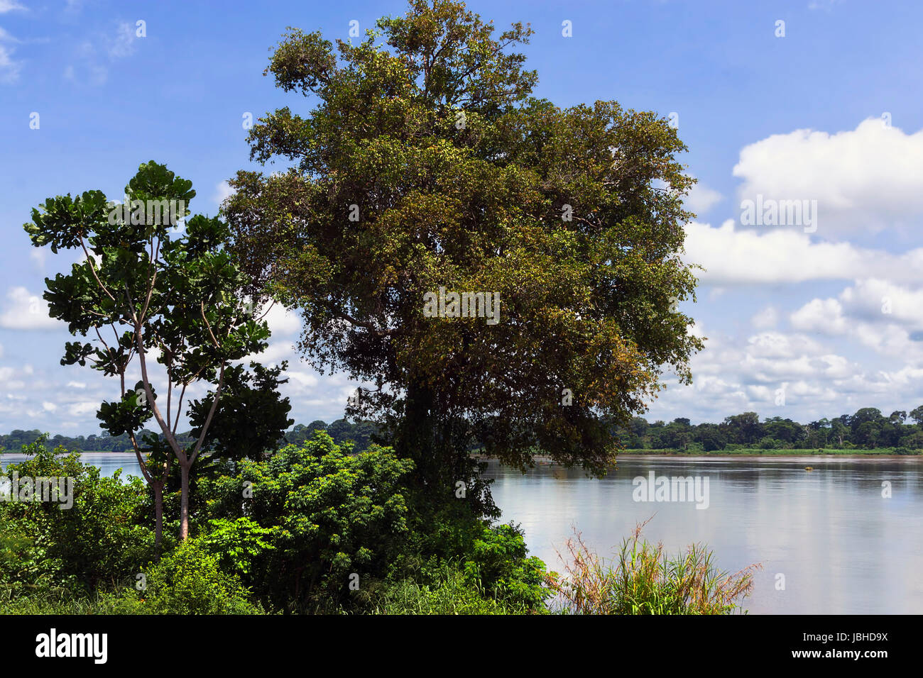 at the sanaga Stock Photo - Alamy