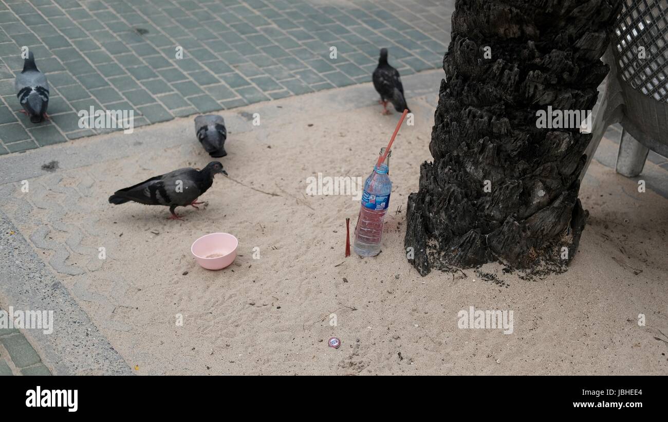 Buddhist offerings hi-res stock photography and images - Alamy