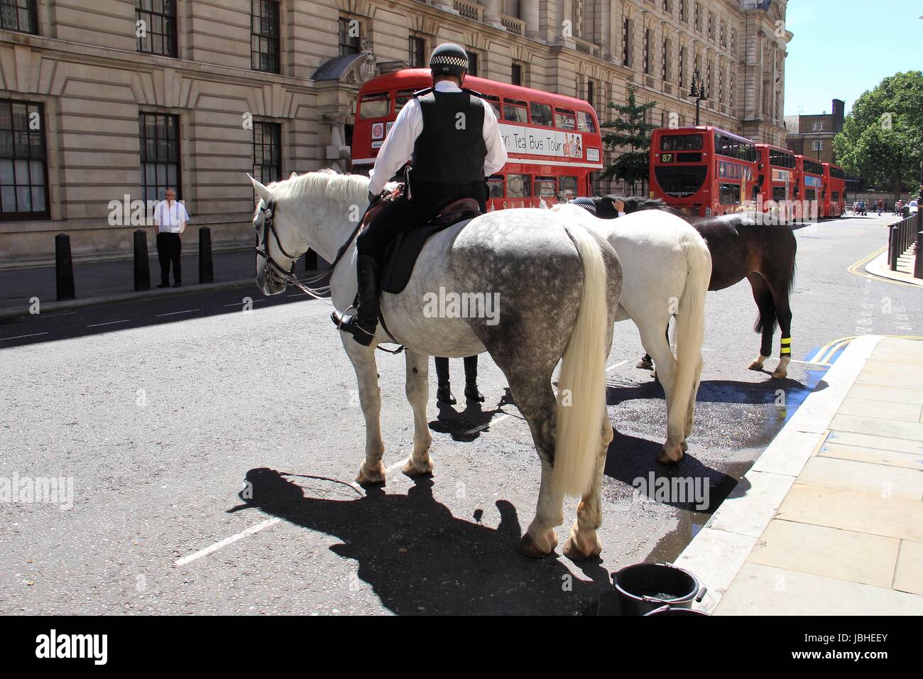 Mounted Police Scotland High Resolution Stock Photography and Images ...