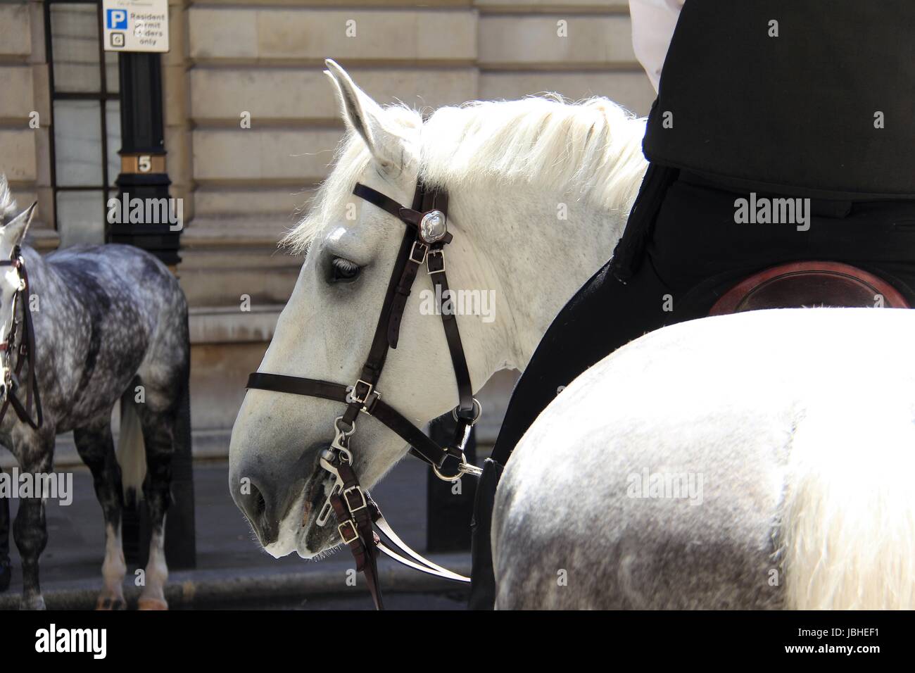Mounted police in Whitehall returning to Scotland Yard stables Stock ...