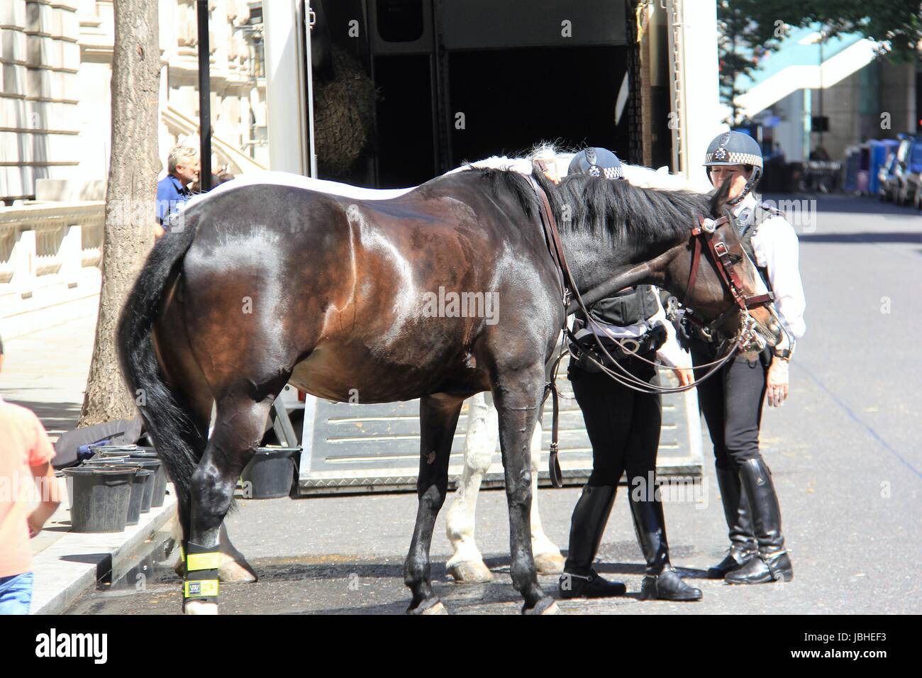Mounted police in Whitehall returning to Scotland Yard stables Stock ...
