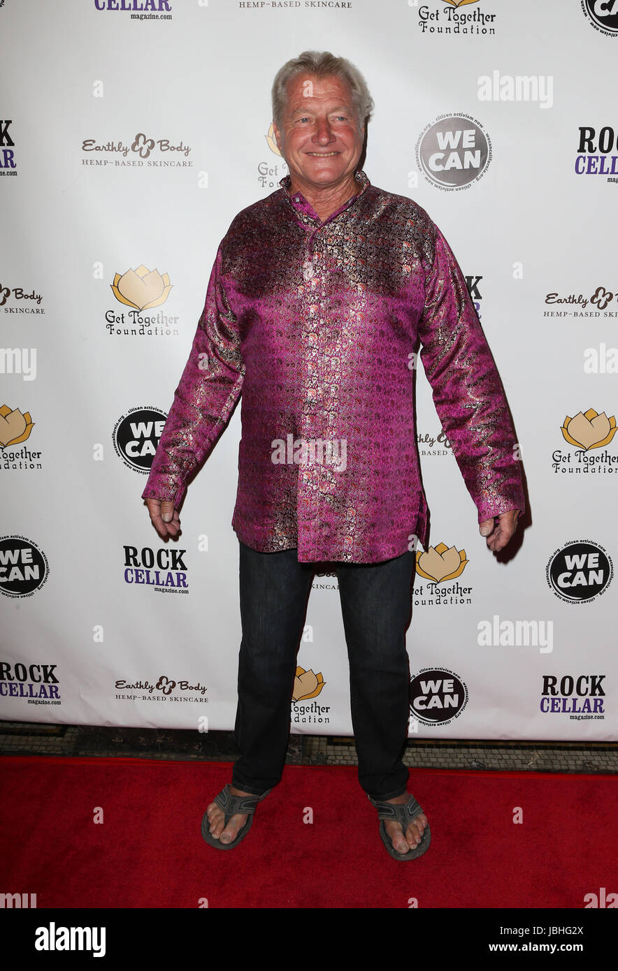 LOS ANGELES, CA June 10- Randy Seol, at The Care Concert - There's Not ...