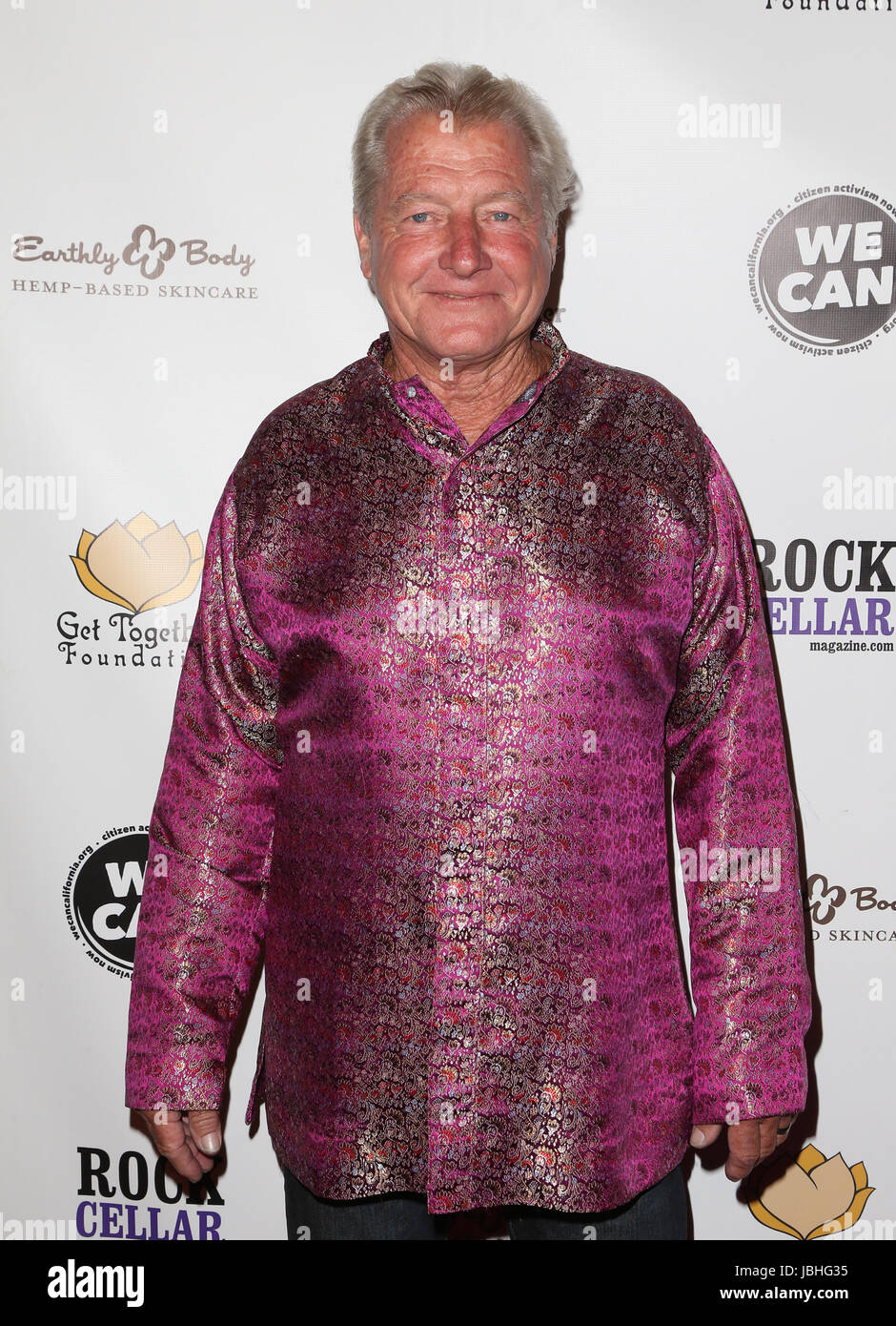 LOS ANGELES, CA June 10- Randy Seol, at The Care Concert - There's Not ...