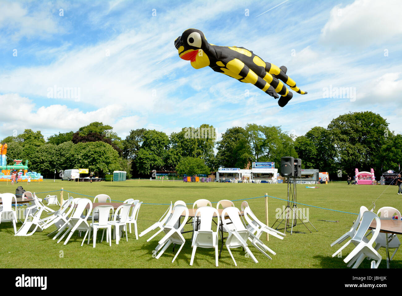 Bedford, Bedfordshire, UK. 11th June, 2017. Large lizard kite taking ...
