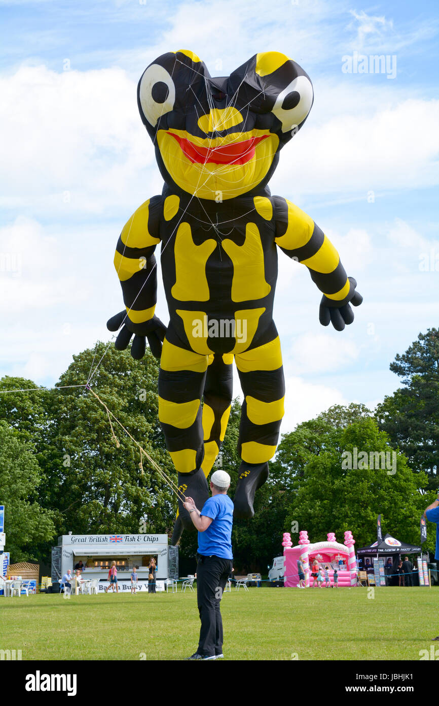 Bedford, Bedfordshire, UK. 11th June, 2017. Kite flyer trying to get a ...