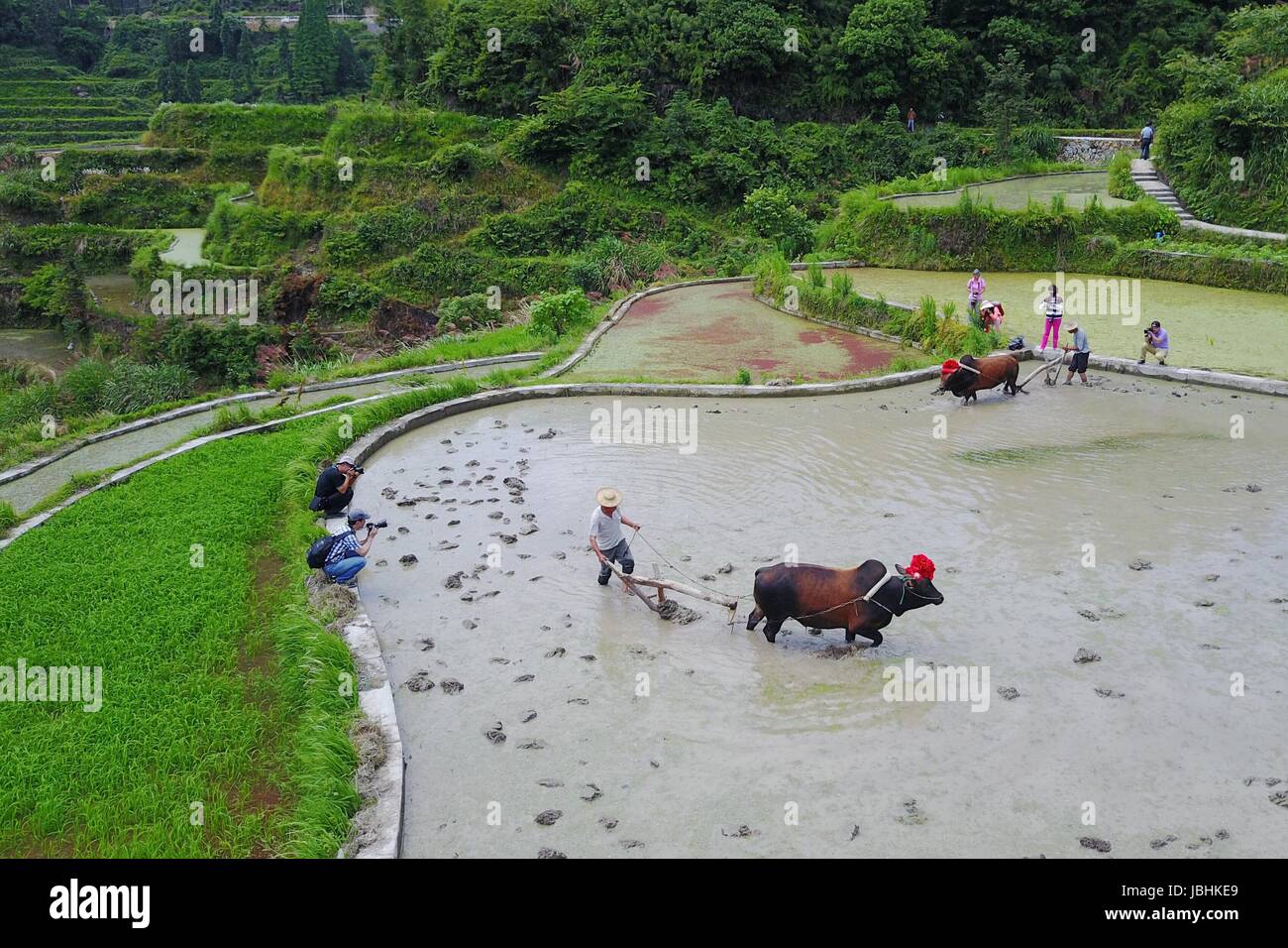 Farmers plow hi-res stock photography and images - Alamy
